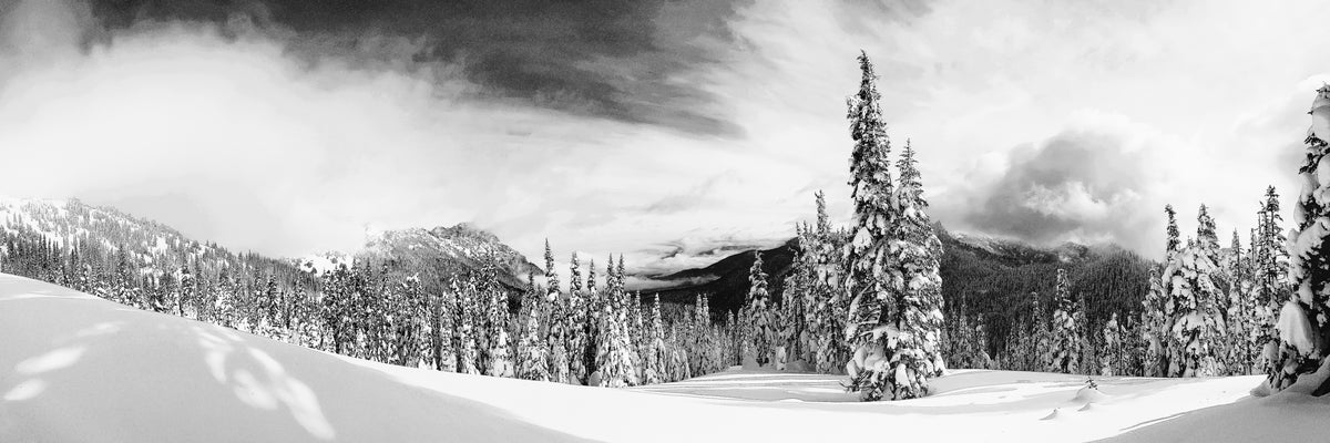 Journey on Hurricane Ridge, Washington – Bird&Fish Co.